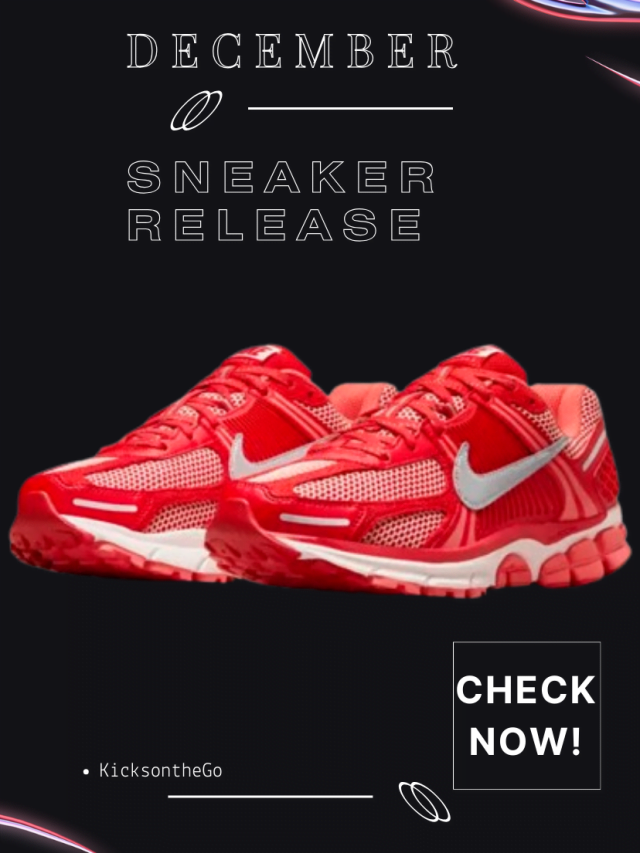 Top 12 Upcoming Nike Release December